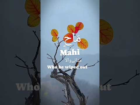 Mahi meaning in English and Urdu | 99 Names of Mohammad(ï·º) #shorts #islam