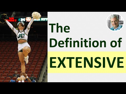 The Definition of EXTENSIVE (3 Illustrated Examples)