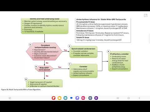 ACLS algorithm adult tachycardia with pulse