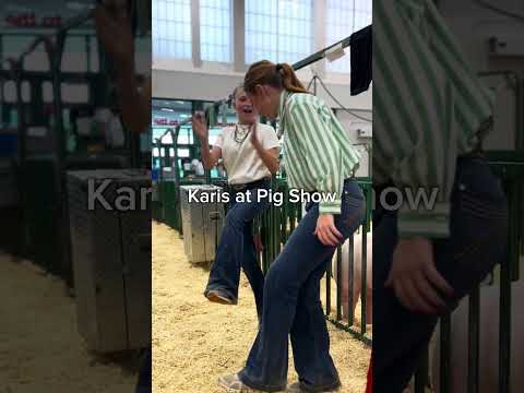 Karis at pig shows vs showing. #showpigs #livestockshow