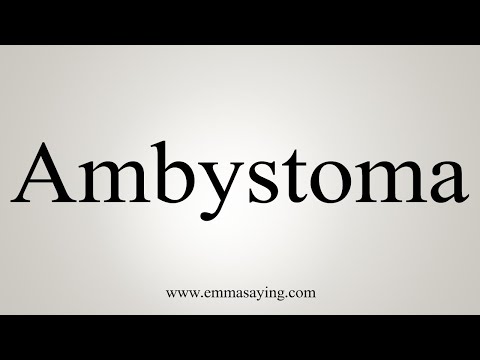 How To Say Ambystoma