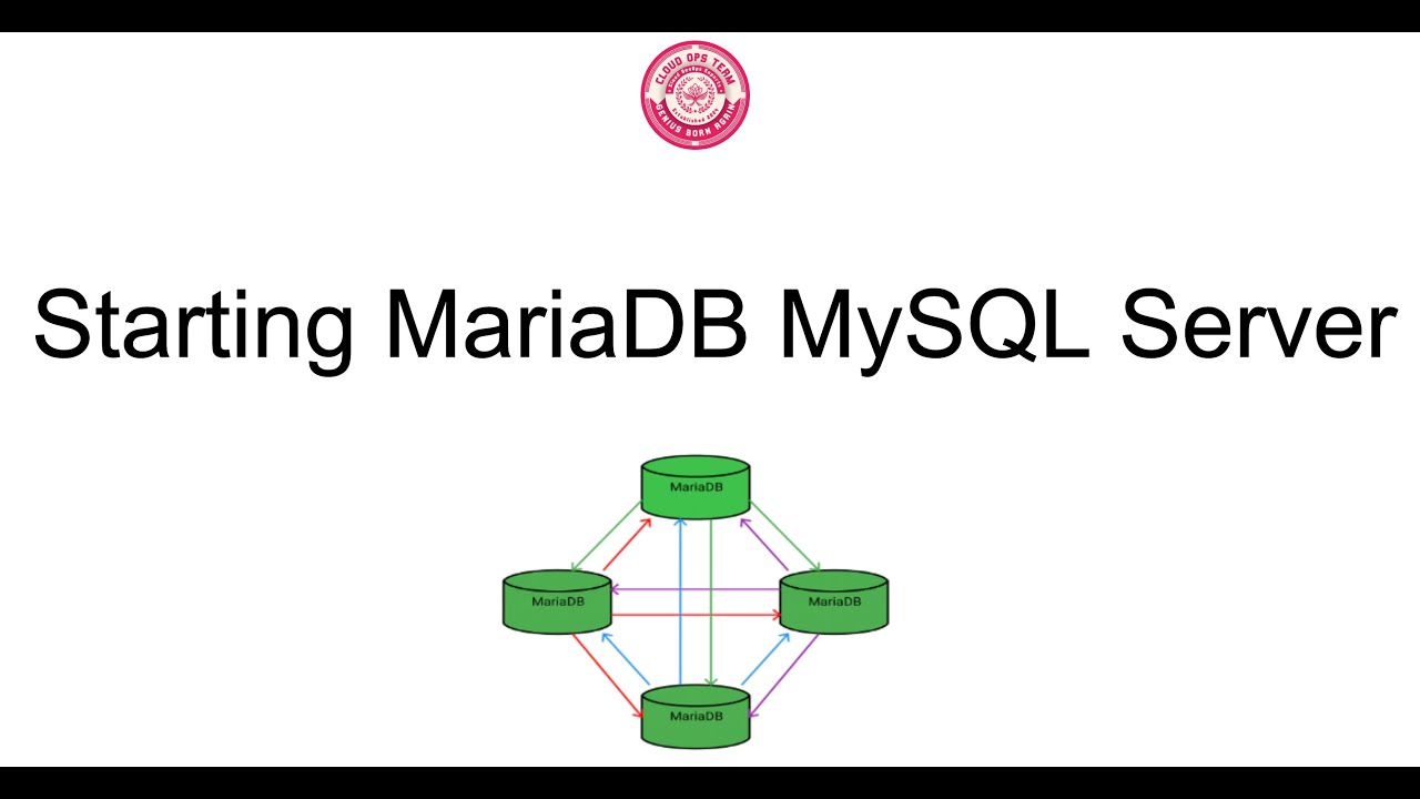 4 - Starting & Securing MariaDB Server