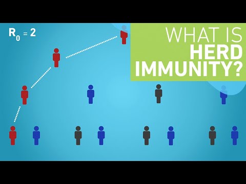 What is Herd Immunity?