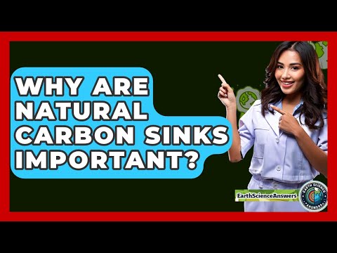 Why Are Natural Carbon Sinks Important? - Earth Science Answers