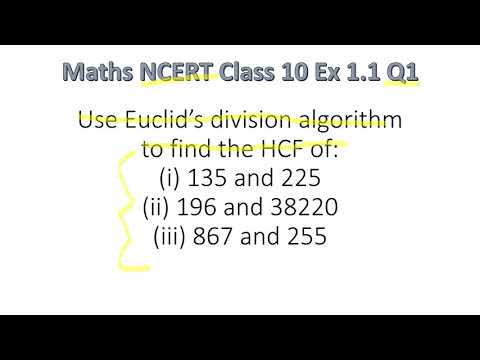 Use Euclid’s division algorithm to find the HCF of: i 135 and 225 ii 196 and 38220 iii 867 and 255