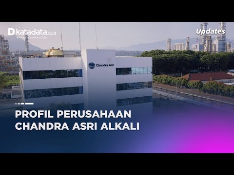 Profil Chandra Asri Alkali: Diminta Jatah Rp 5 T, Milik Taipan, Garap Proyek Strategis Nasional