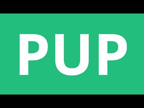 How To Pronounce Pup - Pronunciation Academy