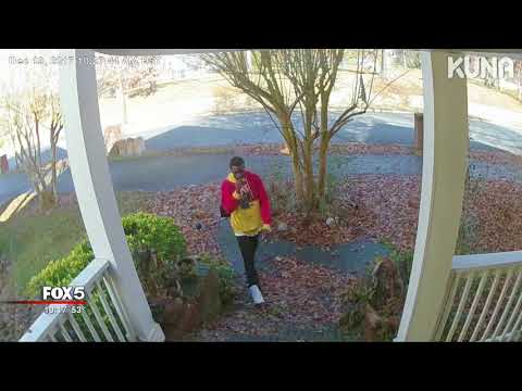 Atlanta package thief caught on camera