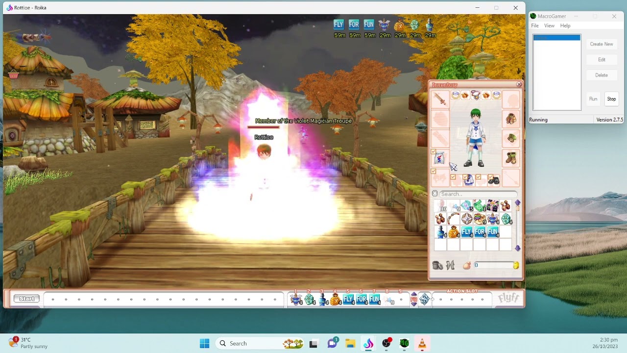 MacroGamer Tutorial in Flyff
