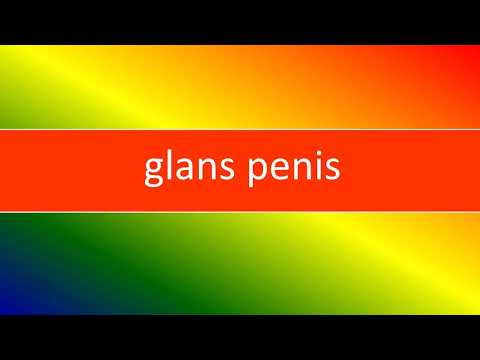 GLANS PENIS