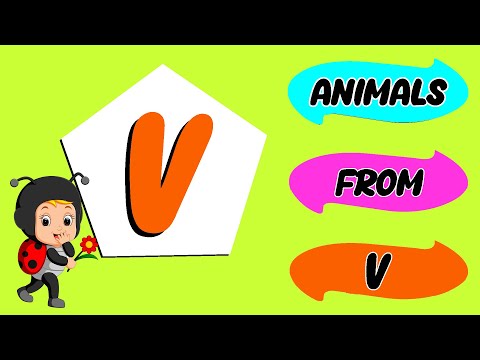 3 Words From Letter V | Animal Name From V | V Words Vocabulary | Kids Learning Video