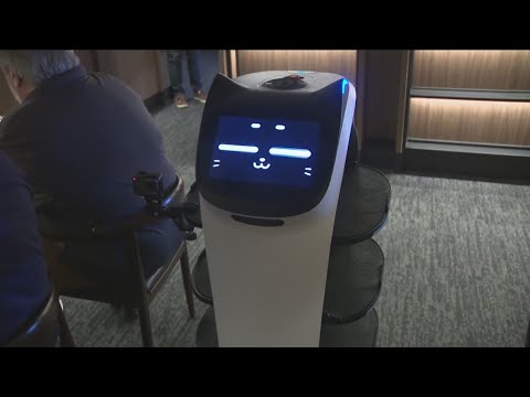 New restaurant features robotic servers