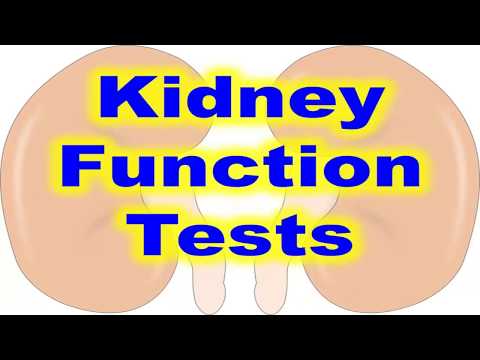 kidney function test explained
