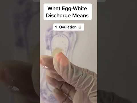 What Egg-White Discharge Means | Egg White Discharge #shorts #viral #eggwhite #youtubeshorts