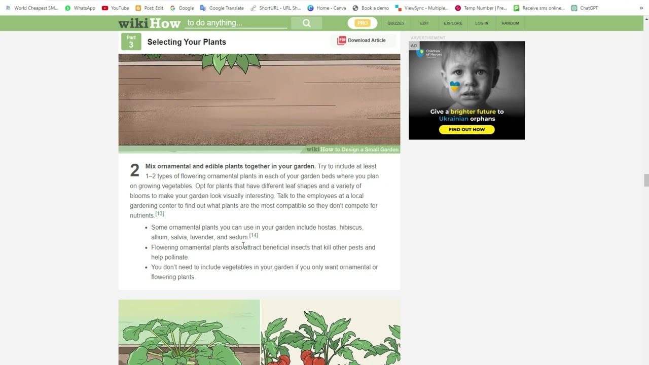 How To Selecting Your Plant By Grow Well In