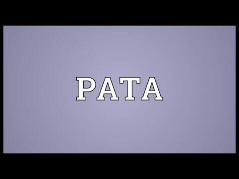 PATA Meaning
