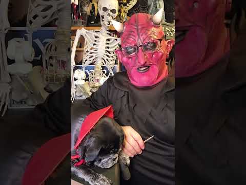 Kaiju - Johnny Sokko and his Flying Robot