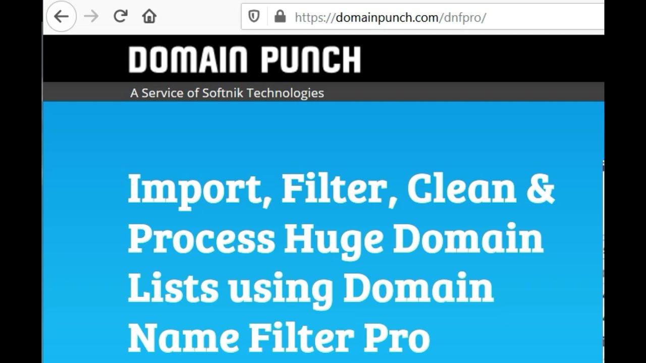 Domain Name Filter Pro Dictionary Domain Filtering Software
