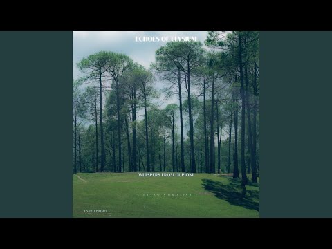Solipsistic Whispers (Original)