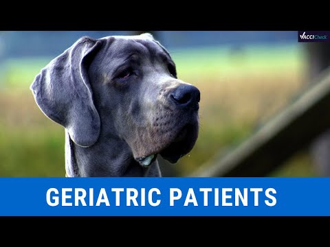 Antibody Testing of Geriatric Patients