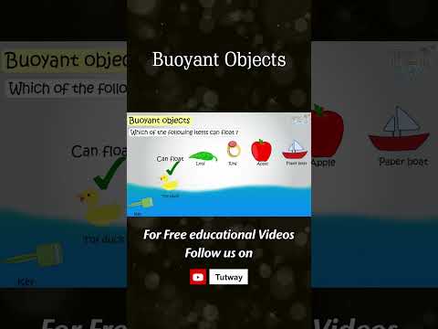 Buoyant items | Buoyant Objects | Properties of Solids and Liquids | Science