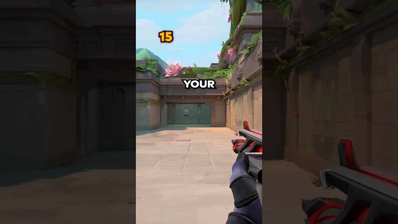 How to use Crosshair X 🎯🗿