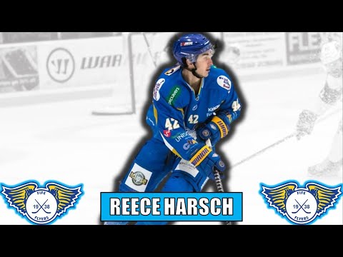 Fife Flyers Sign Reece Harsch