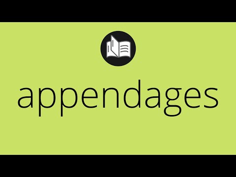 What APPENDAGES means • Meaning of APPENDAGES • appendages MEANING • appendages DEFINITION
