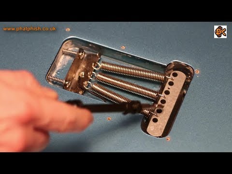 Fender Trem Spring Claw and Screws iMuso