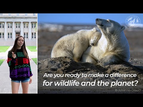 Defenders of Wildlife Campus Clubs
