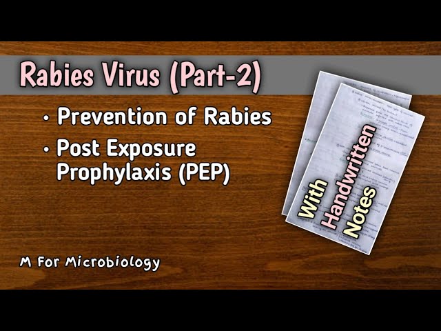 Understanding Rabies Virus Prevention: A Comprehensive Guide | Galaxy.ai