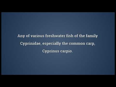 Carp Meaning