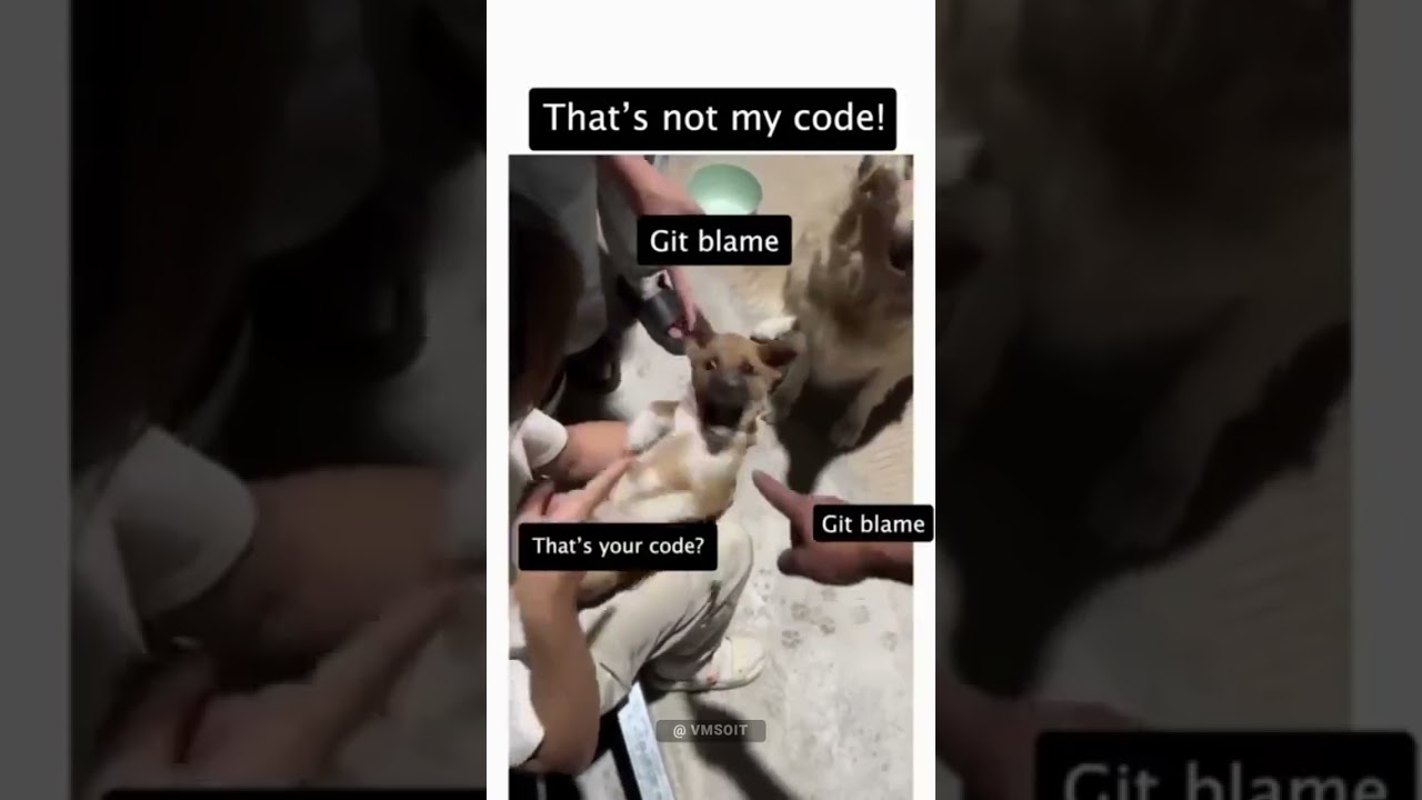 'That's not my code' | VMSOIT. #DeveloperHumor #CodingMemes #GitHub