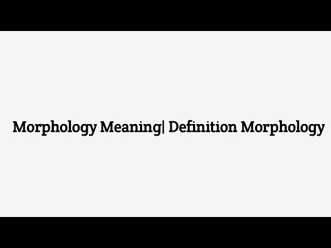 Morphology Meaning | Definition Morphology and its etymology