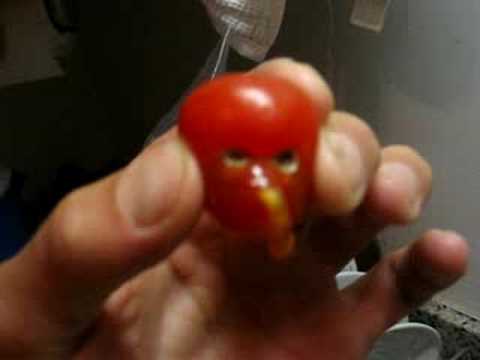 Puking Tomato – Do It And How