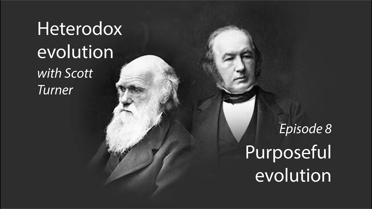 Episode 8. Purposeful evolution