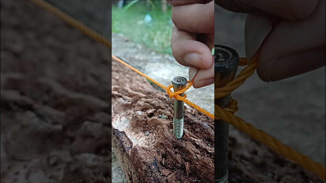 Wow, this is popular knot, simple and strong #diy #lifehacks #knots