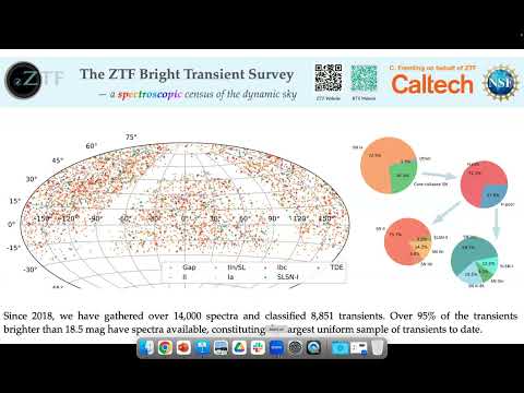 The ZTF Bright Transient Survey A Spectroscopic Census of the Dynamic Sky - Rare Gems