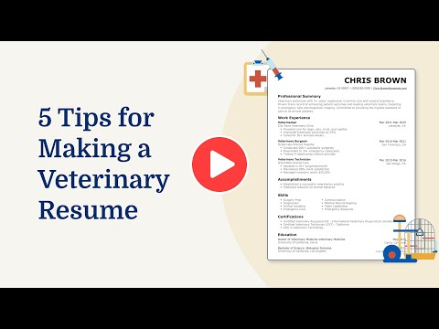 5 Tips for Making a Veterinary Resume