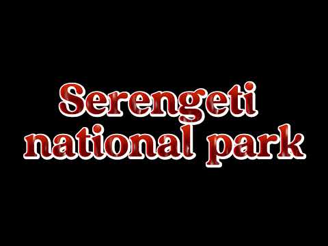 How to Pronounce Serengeti national park in English 2025