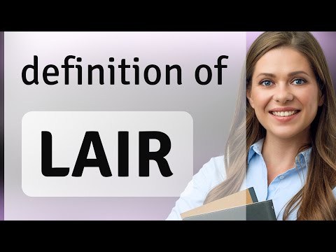 Lair • LAIR definition