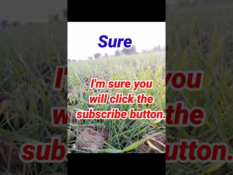 Confusing words|Sure vs Sour.#Shorts.
