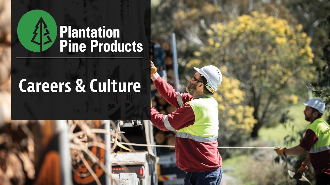Careers and Culture