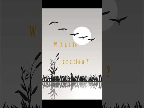What is the purpose of Birds Migration