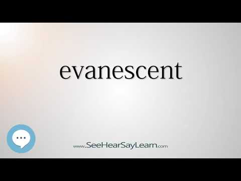 evanescent - Smart & Obscure English Words Defined 🗣🔊