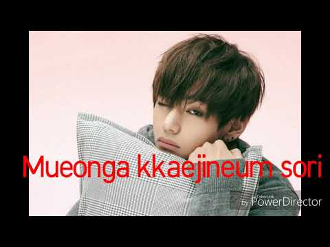 BTS V- 'Singularity' lyrics. Bts V