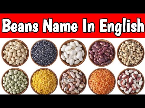 Names Of Different Of Beans With Pictures | Beans Name In English | broad beans