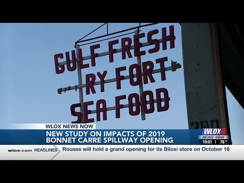 Study shows more than $20 million lost from 2019 Bonnet Carre Spillway opening
