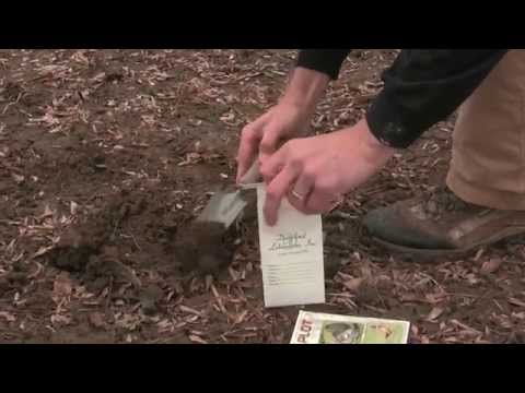 Soil Testing