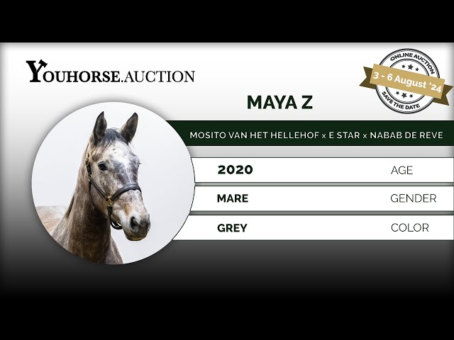 Youhorse.auction | Maya Z